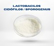 LACTOBACILOS ACIDÓFILOS SPOROGENUS - NUTRACEUTICOS